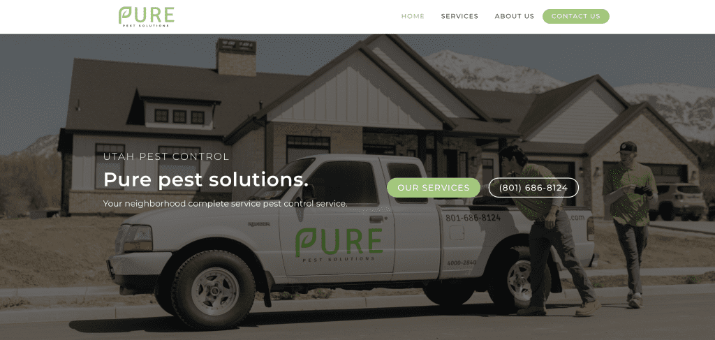 Wasatch Websites Case Study: A Deep Dive into Our Project Portfolio ...